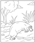 Print platypus coloring page