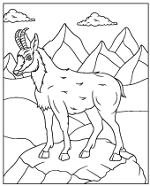 European animals coloring pages sheets