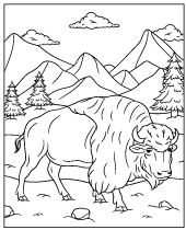 European animals coloring pages sheets