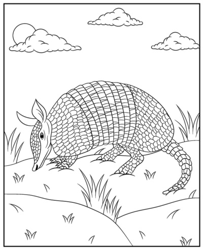 Armadillo coloring page animal