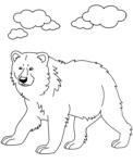 Black bear coloring sheet for children