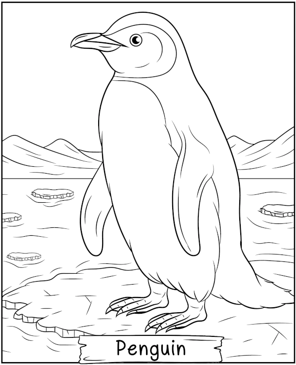 Penguin Coloring Page Bird - Print for Free