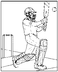 Cricket Coloring Pages - Print For Free